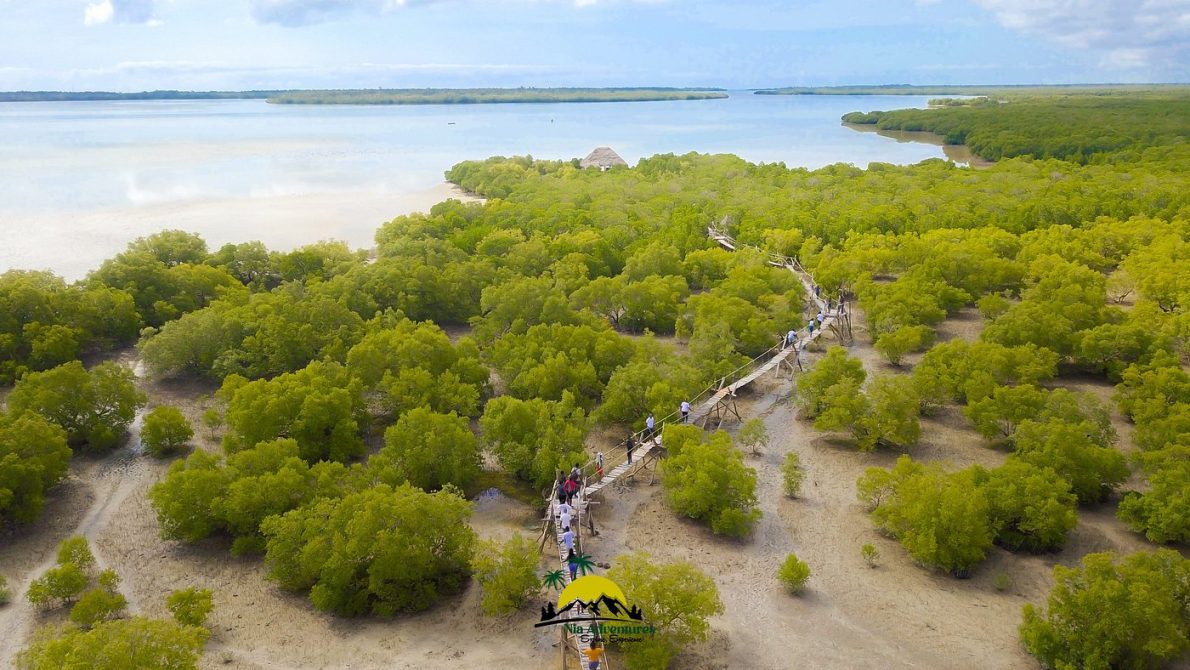 24 Things to Do in Watamu: Your Ultimate Guide (Update 2025 ) - KlicKenya